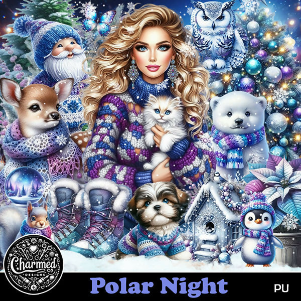 Polar Night – MagicalMoments